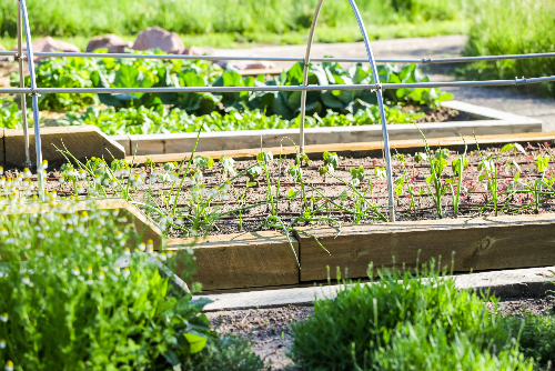 Rural Areas Composting on Farms – Bokashi Composting Australia