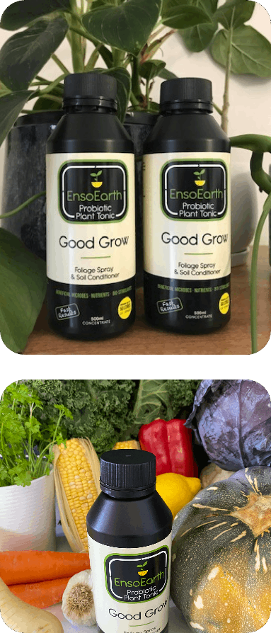 How the EnsoEarth Good Grow Works – Bokashi Composting Australia