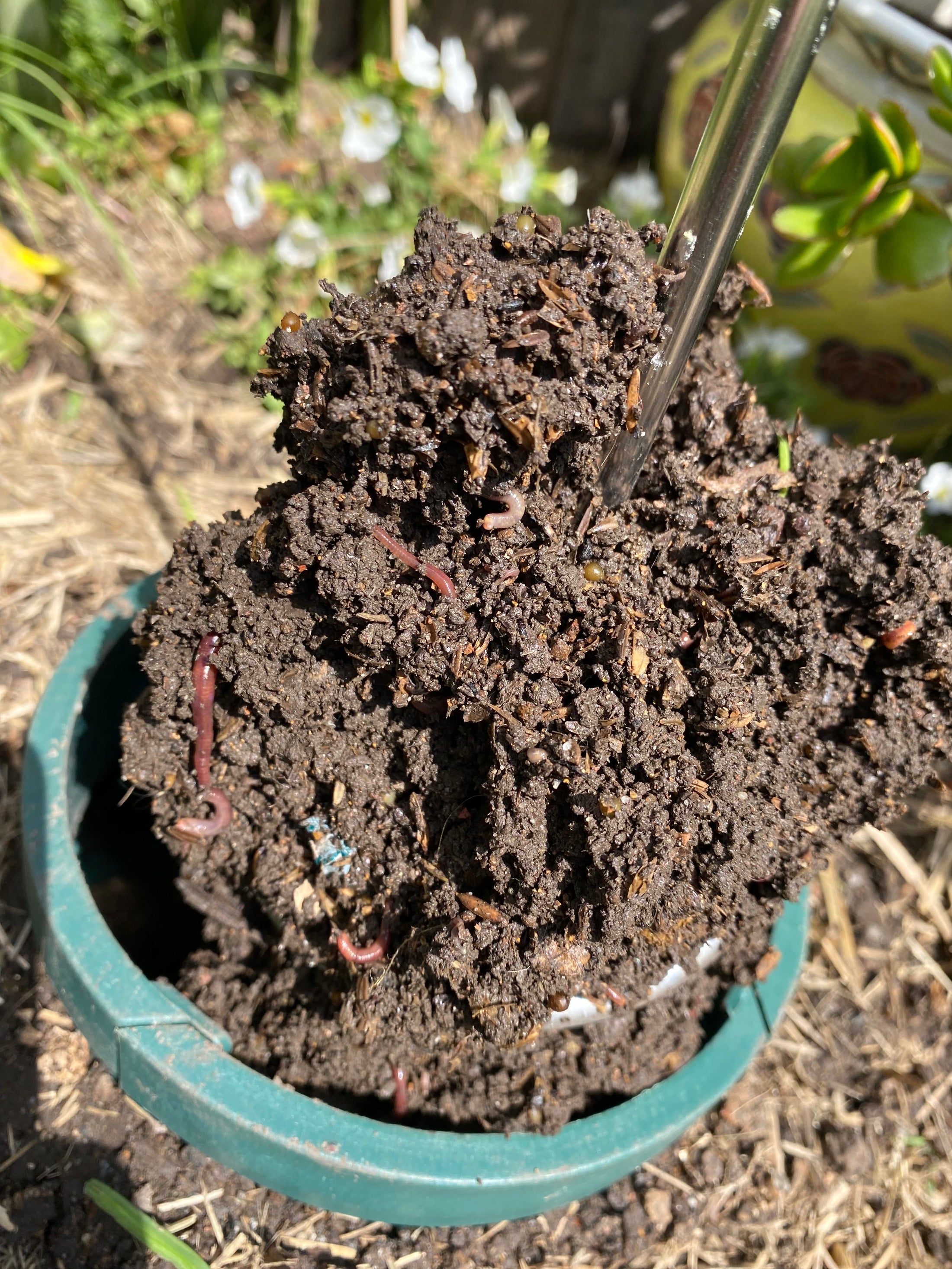 ENSOPET KIT WITH ENSORATOR – Bokashi Composting Australia